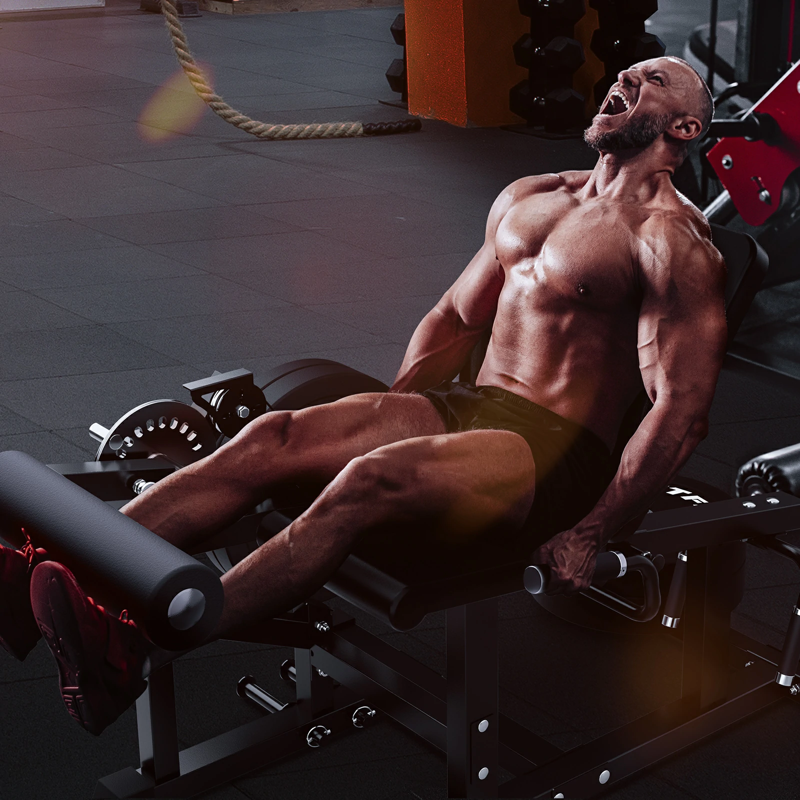 レッグエクステンションの5大メリット＆自宅で効果を最大化する正しい使い方 - Ritfit Japan