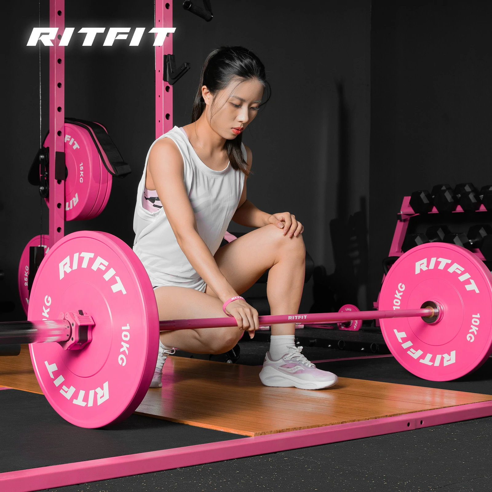 RITFITオールラバープレート 5kg/10kg - Ritfit Japan